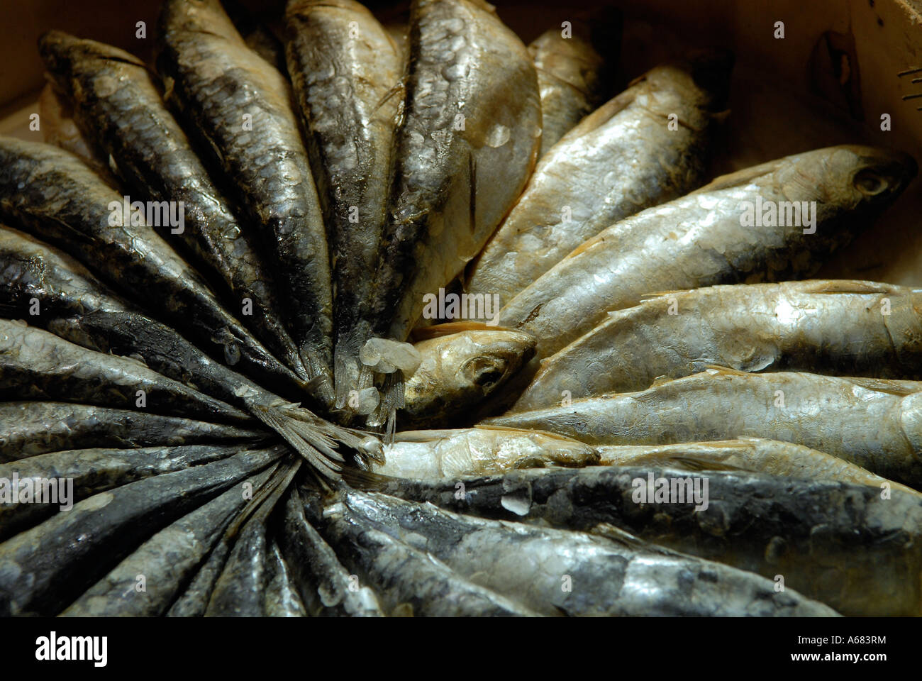Stack of fresh fishes Stock Photo - Alamy