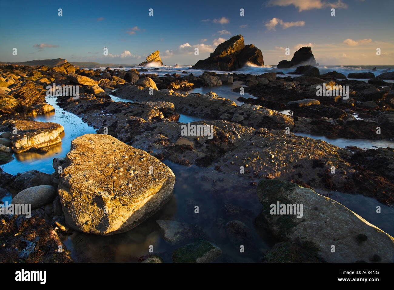 Late afternoon sun illuminates the rocks of Mupe Bay, Dorset Stock ...