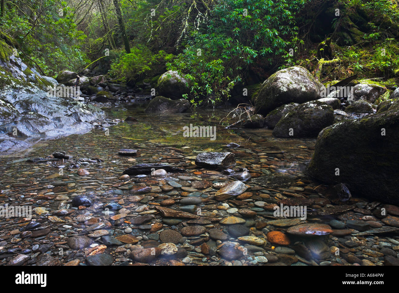 A crystal clear stream flows through Southerlands Grove, Scottish ...