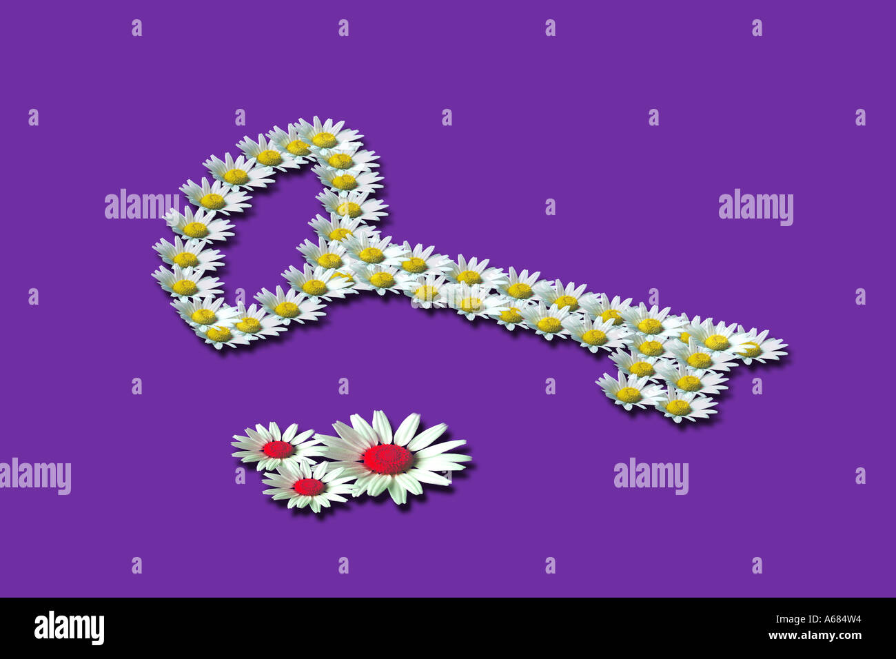 Digital flower montage of house key on purple background Stock Photo ...