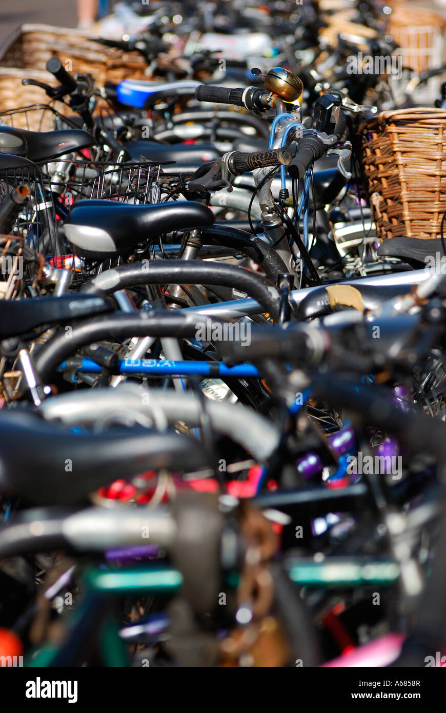 A line of bicycles parked outside a Cambridge University College Stock ...