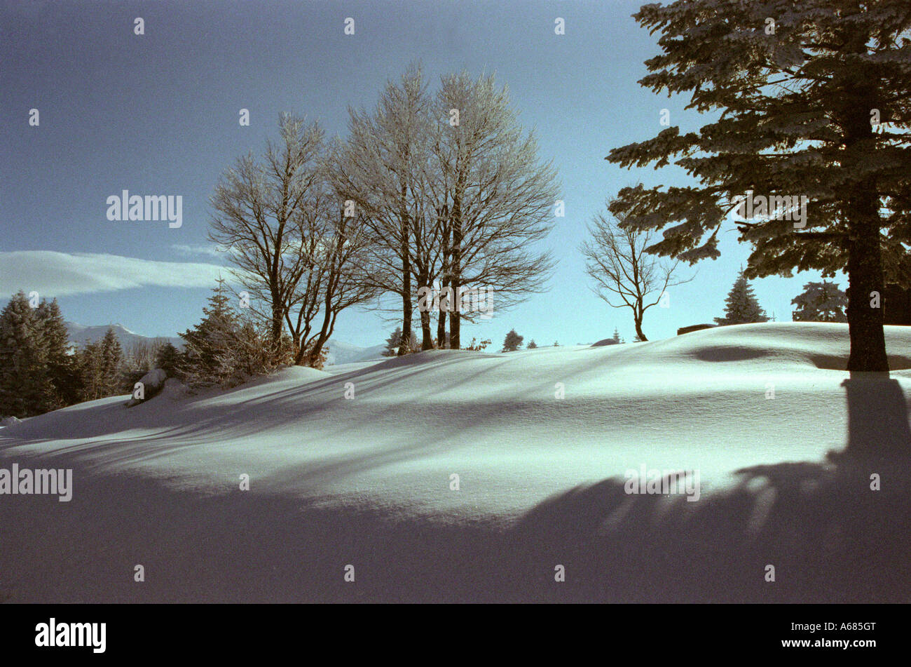 Colour in shadows hi-res stock photography and images - Alamy