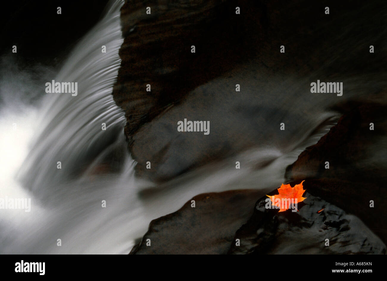 red leaf and cascade Stock Photo - Alamy