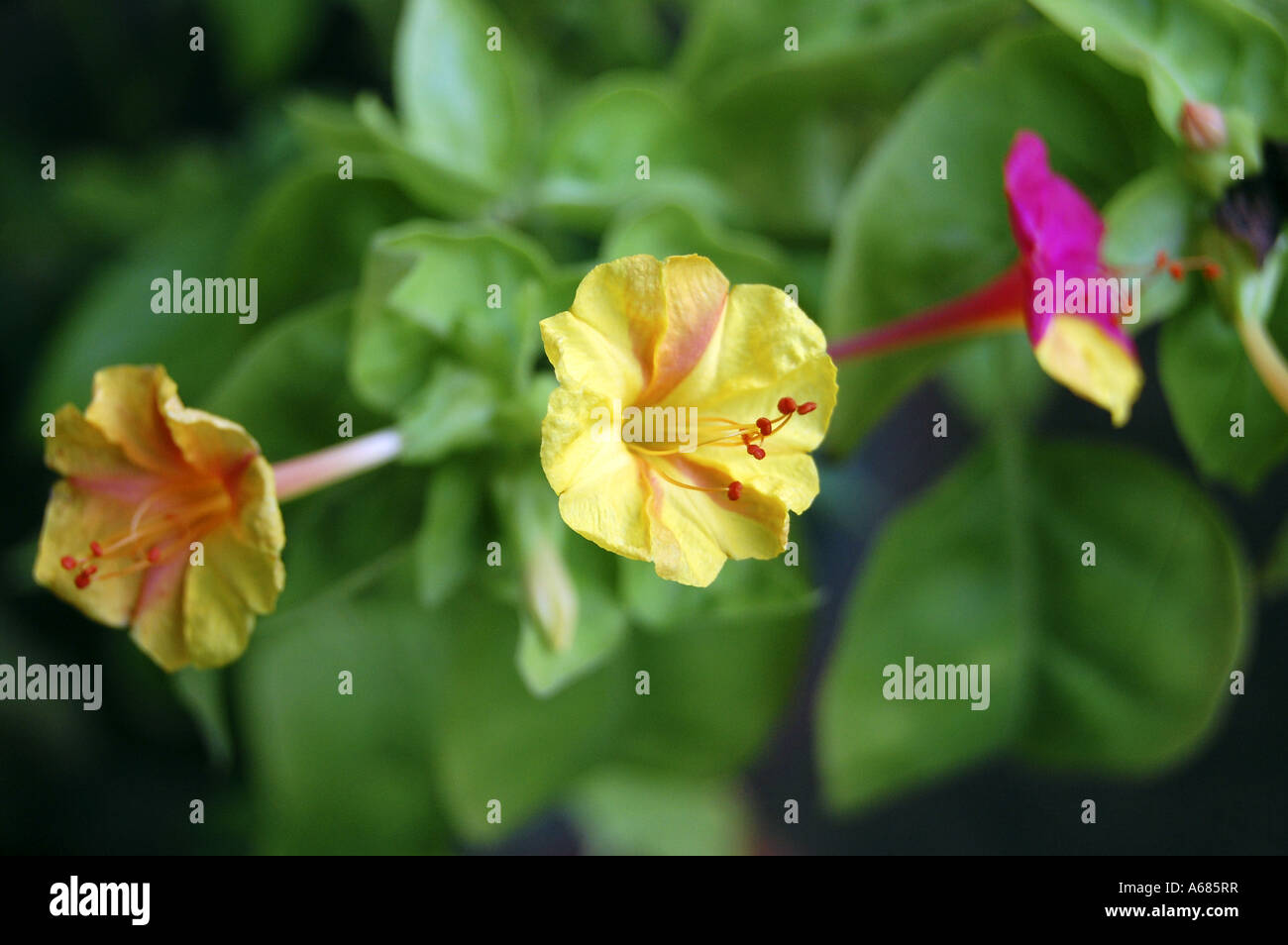 Perfect alignment hi-res stock photography and images - Alamy