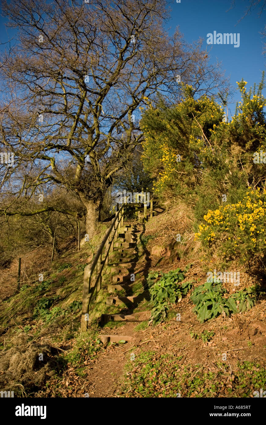 Rural landscape of steps in Burwardsley Cheshire England Stock Photo ...
