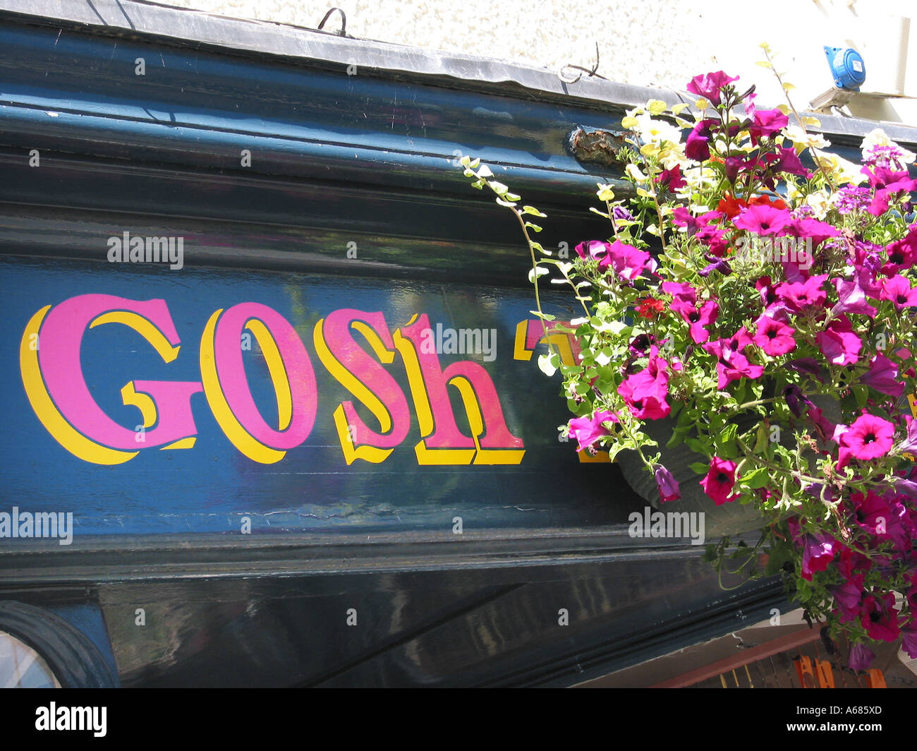 Pink GOSH sign on purple blue background with hanging basket in ...