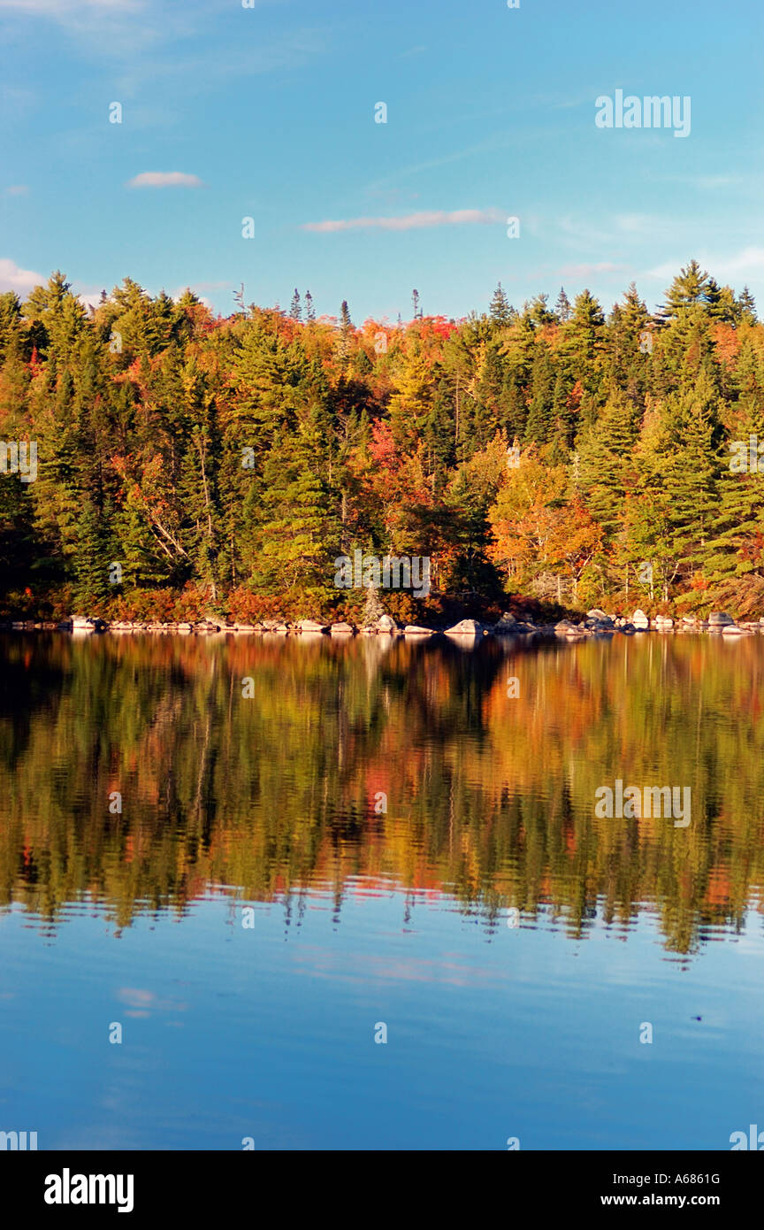 Fall Reflections of changing leaves with blue sky Stock Photo - Alamy