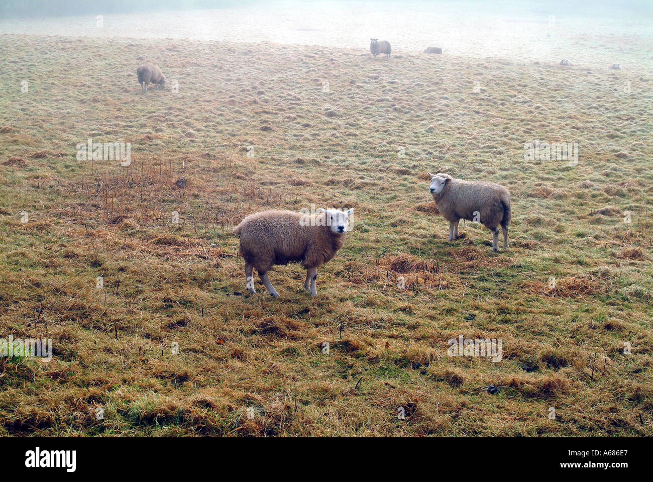 Faugh cumbria hi-res stock photography and images - Alamy