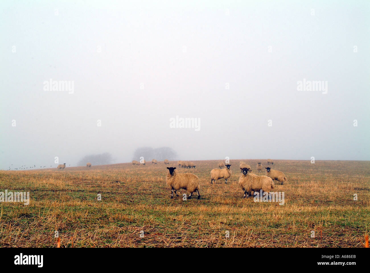 Faugh cumbria hi-res stock photography and images - Alamy