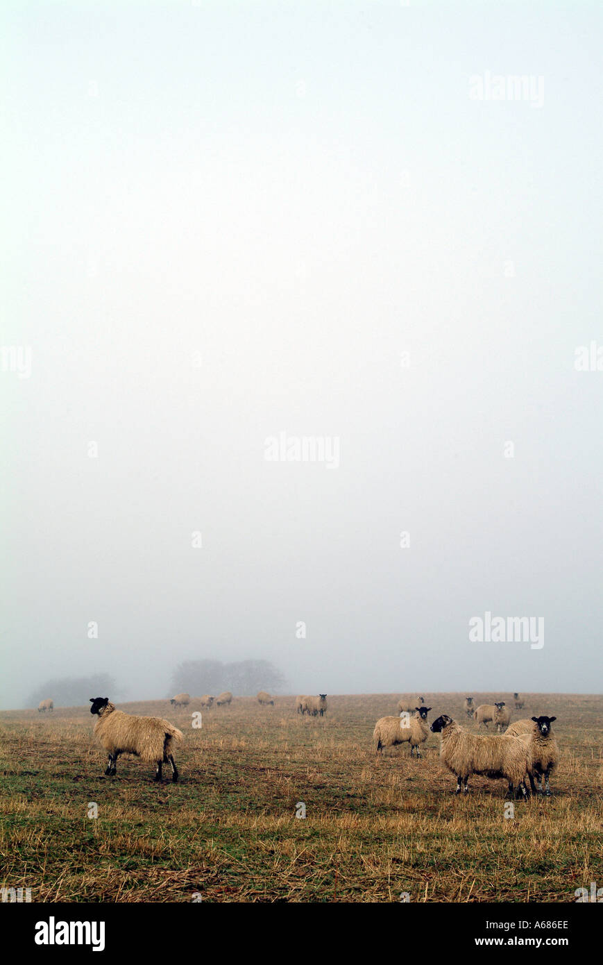 Faugh cumbria hi-res stock photography and images - Alamy