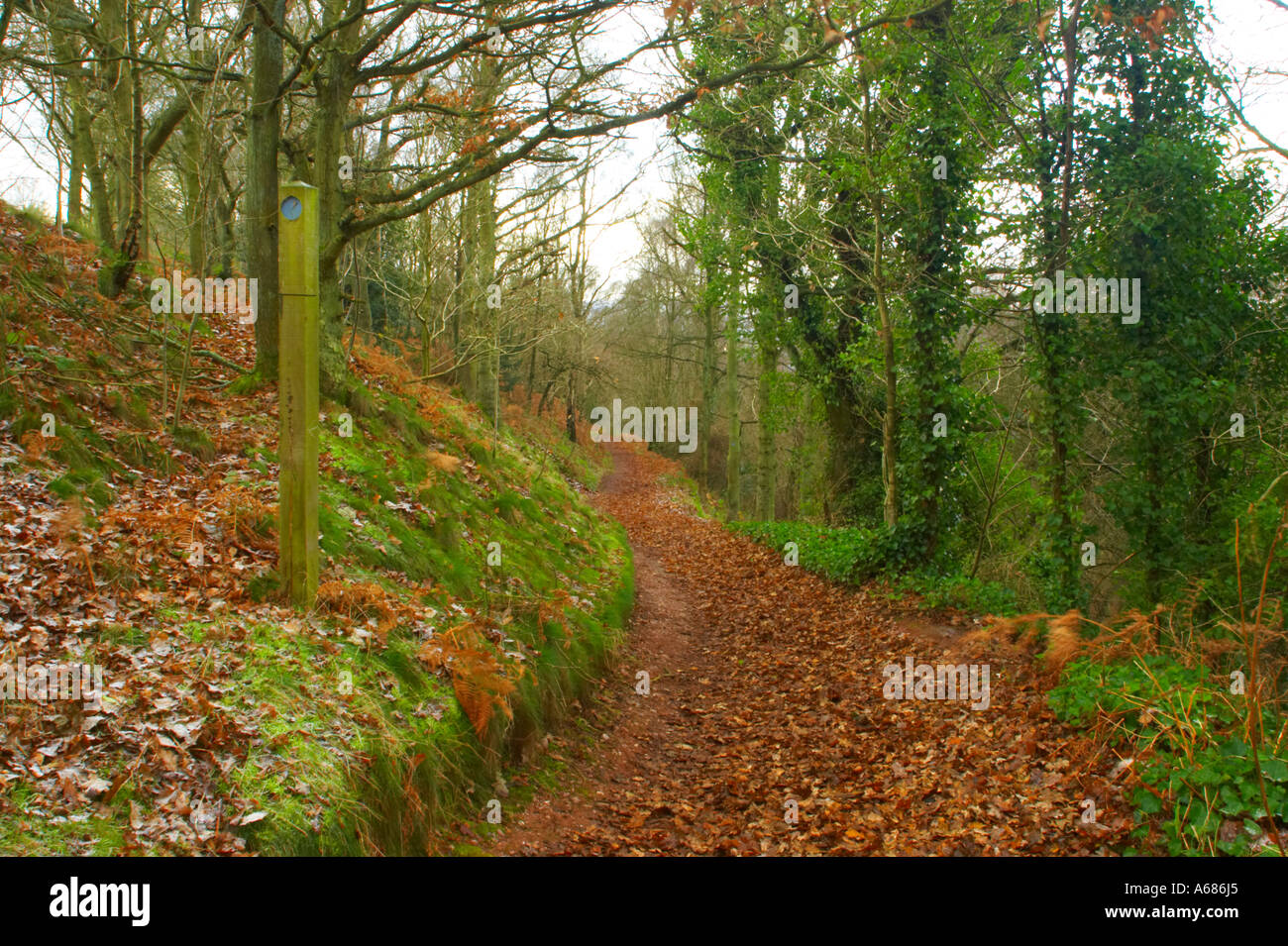 Edge well hi-res stock photography and images - Alamy