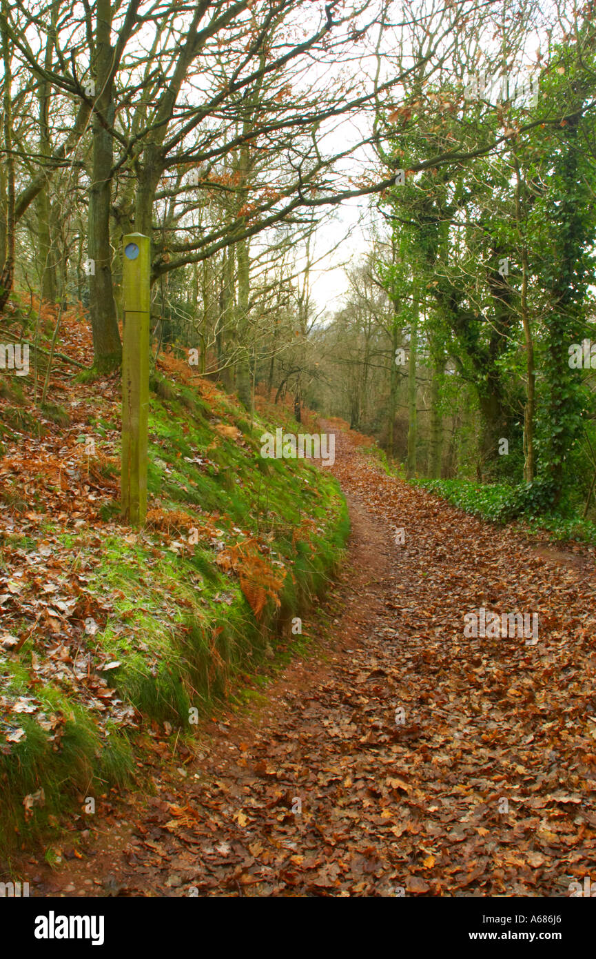 England, Staffordshire, Kinver Edge. Well defined path running through ...