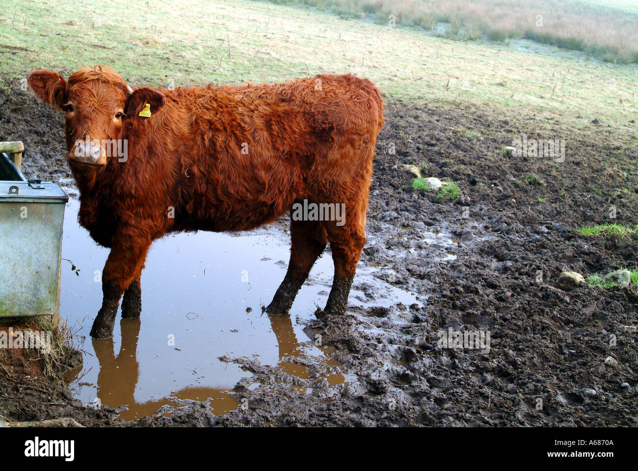 Faugh cumbria hi-res stock photography and images - Alamy