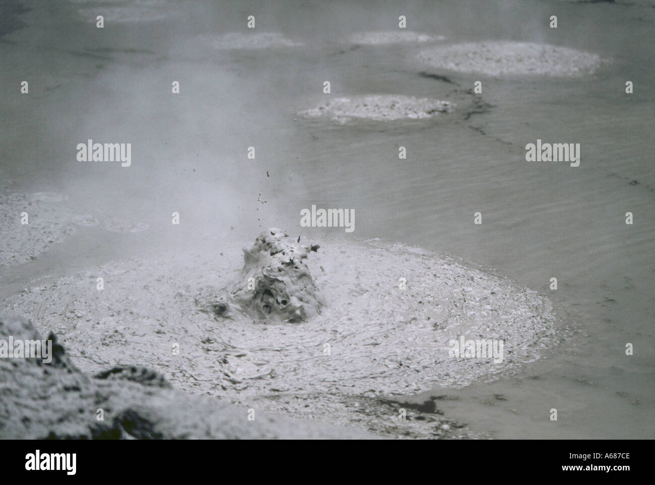 Boiling mud pool new zealand hi-res stock photography and images - Alamy