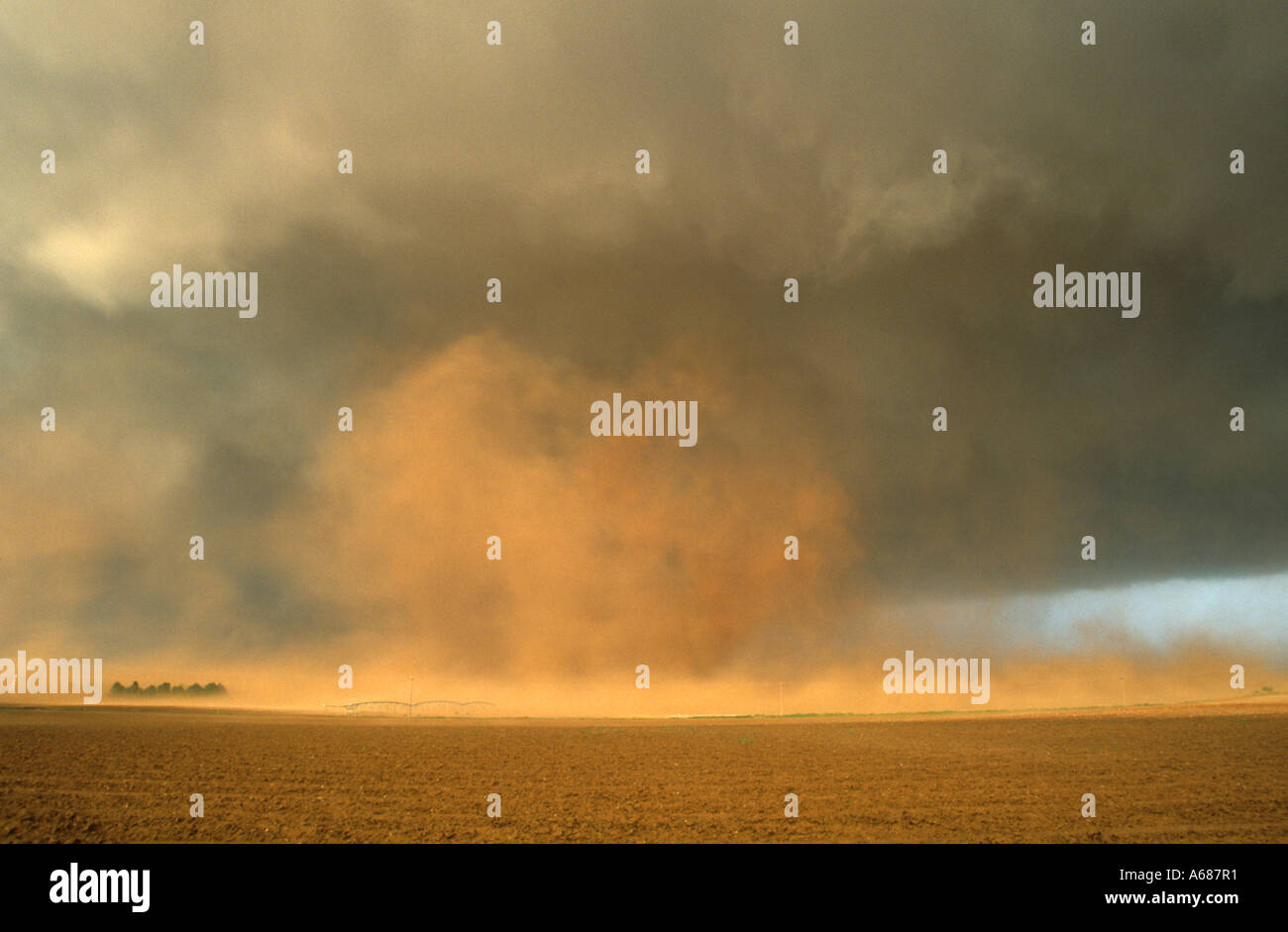 A large dusty gustnado (false tornado) forms under a severe rotating ...