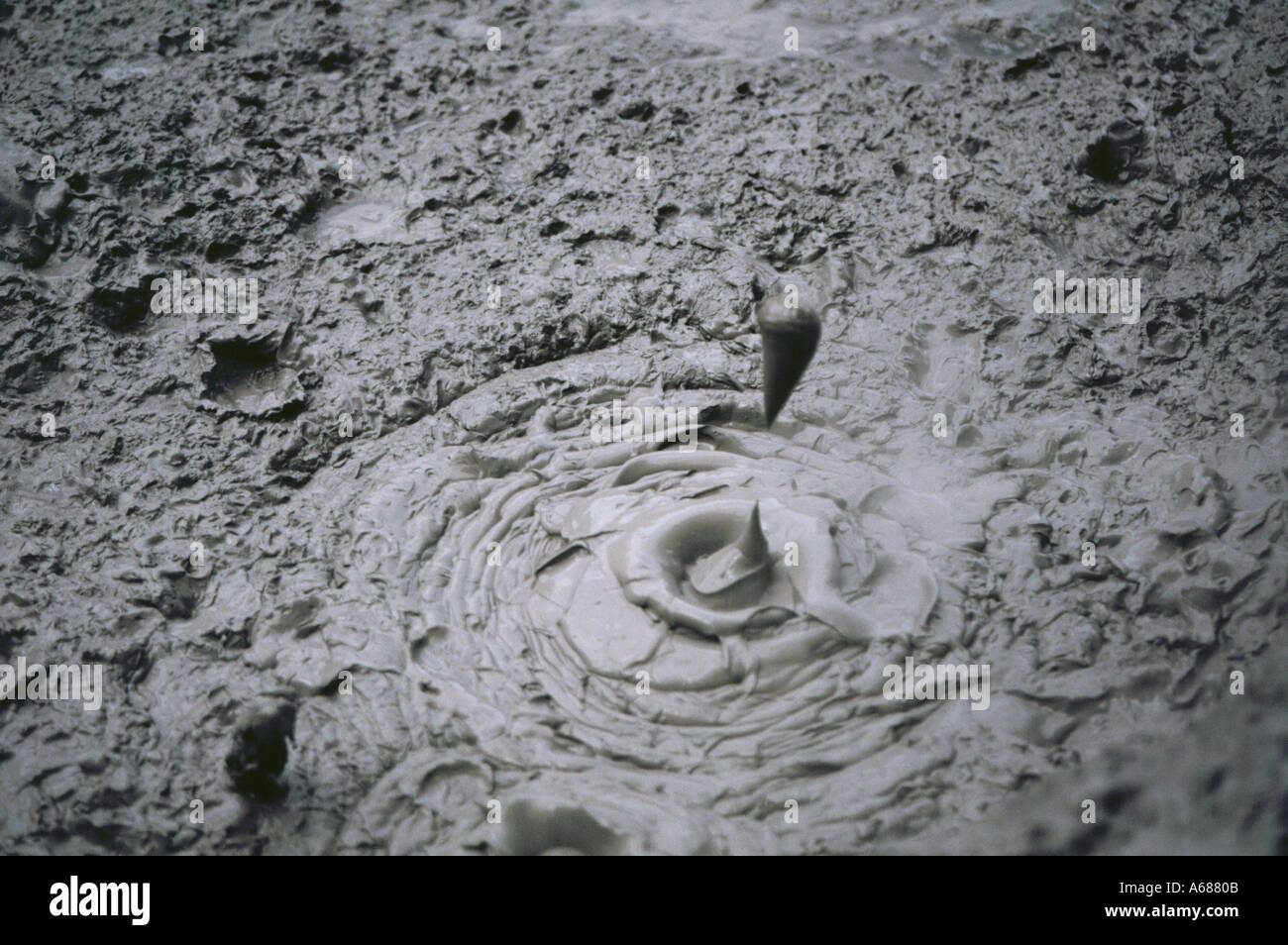 Boiling mud pool Stock Photo - Alamy