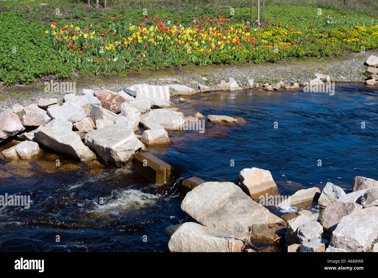 Small submerged dam is part of the artificial fish ladder system in the ...