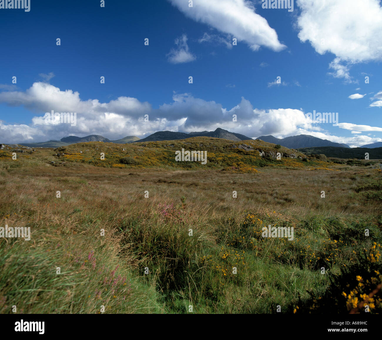 unspoiled wild landscape with the twelve pin mountains, beauty in ...