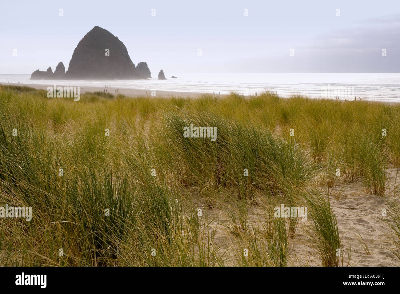 Scenic landscape shot of Haystack Rock at Canon Beach, Oregon with ...