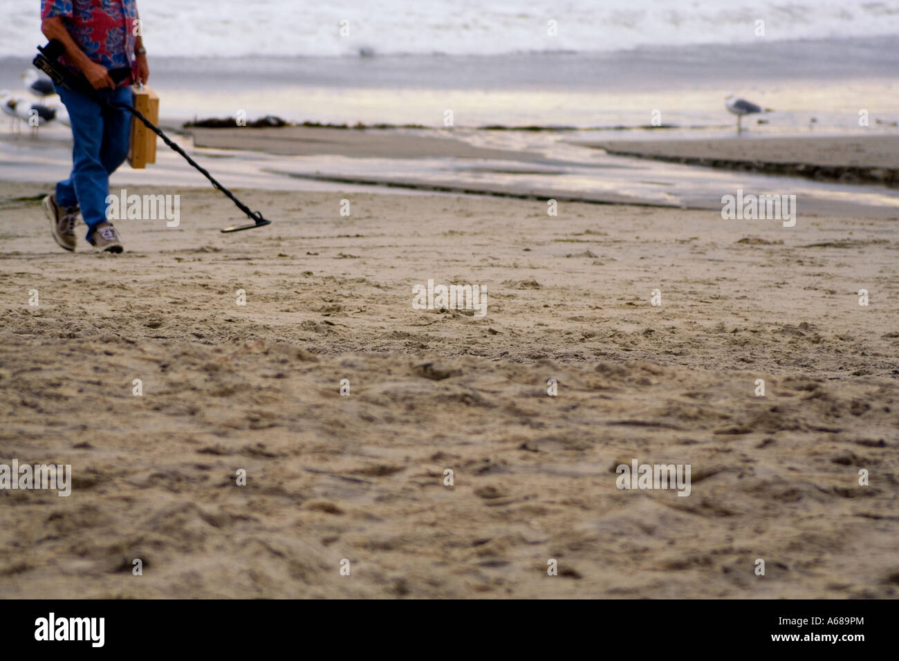 Man using a metal detector at the beach Stock Photo - Alamy