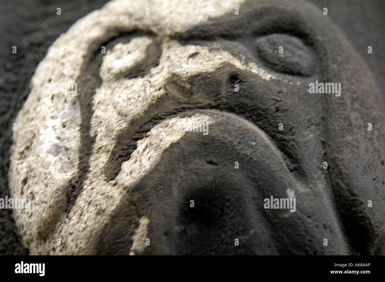 face unhappy head sulk sulking positive grumpy negative funny humour ...