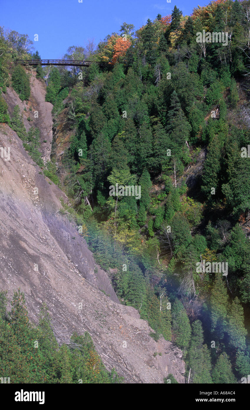 Bridge in a forest Canada Stock Photo - Alamy