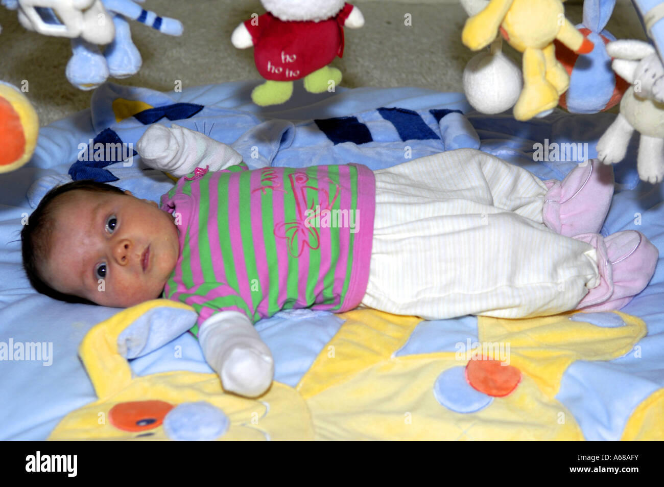 baby two months caucasian colour color horizontal play gym mobile toys ...