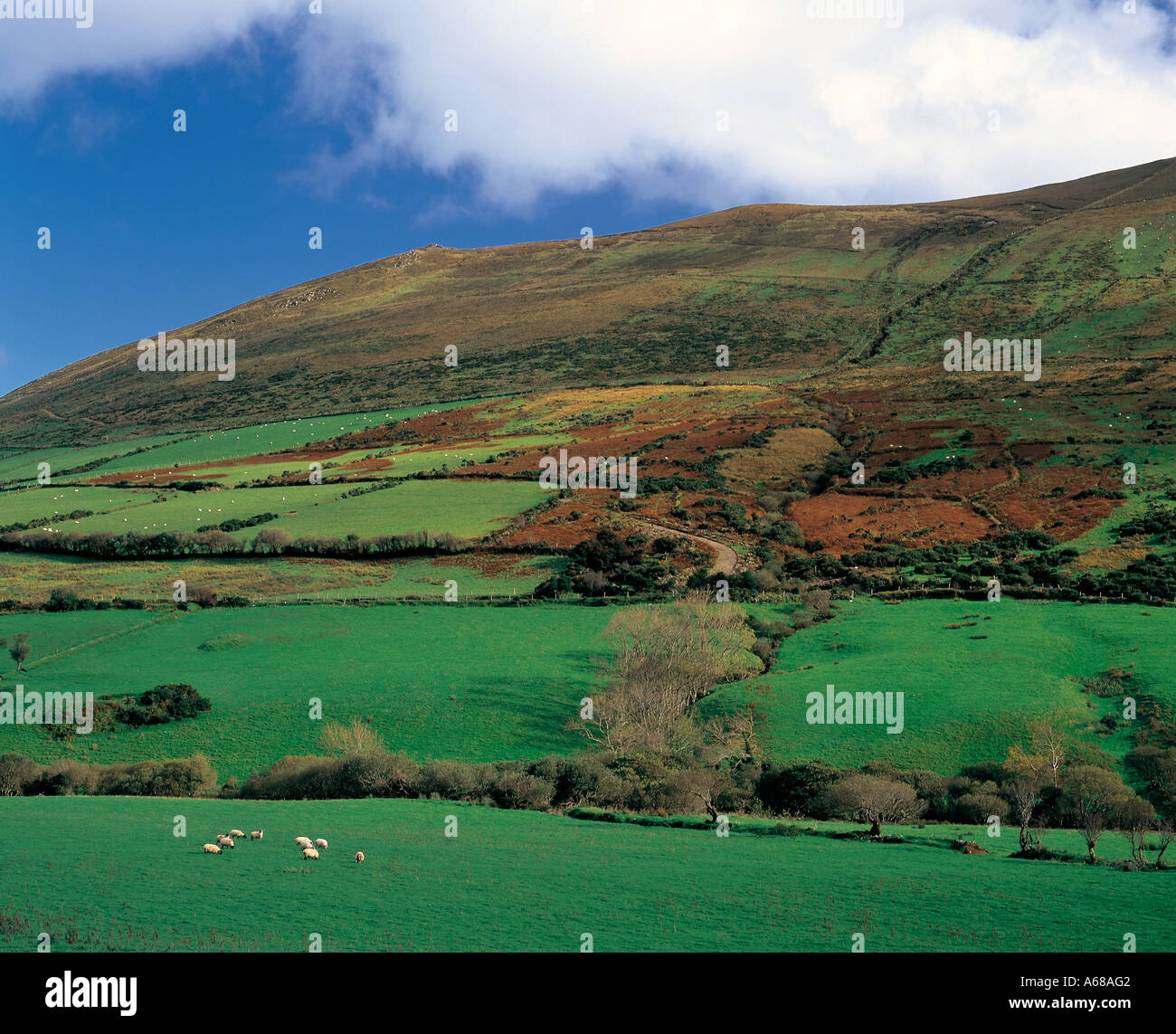 Glen of aherlow tipperary ireland hi-res stock photography and images ...