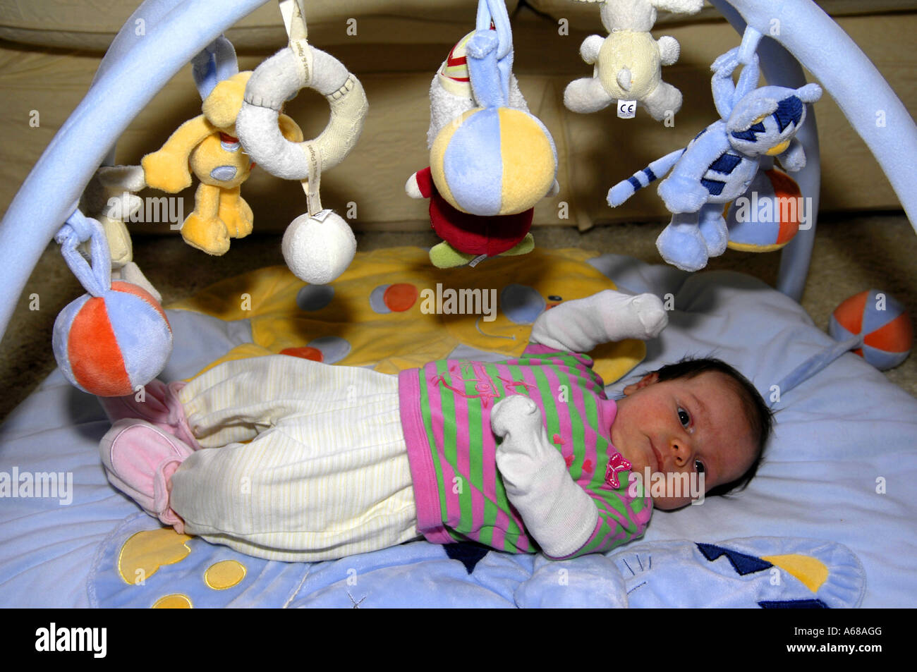baby two months caucasian colour color horizontal play gym mobile toys ...
