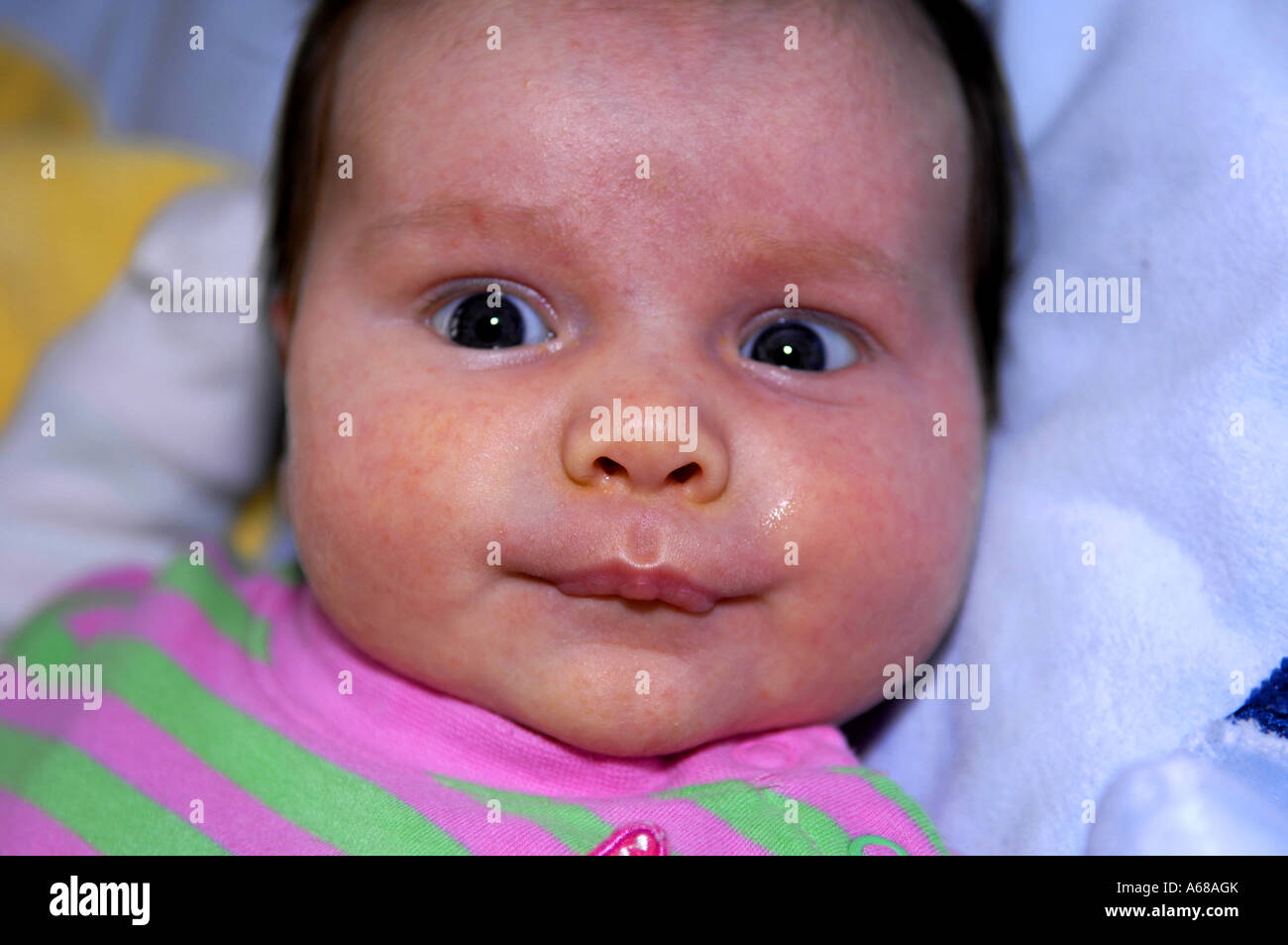 baby two months caucasian colour color horizontal face portrait ...