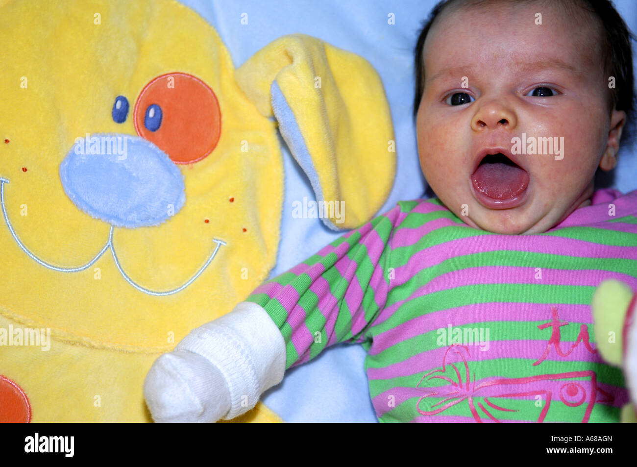 baby two months caucasian colour color horizontal yawn yellow dog Stock ...