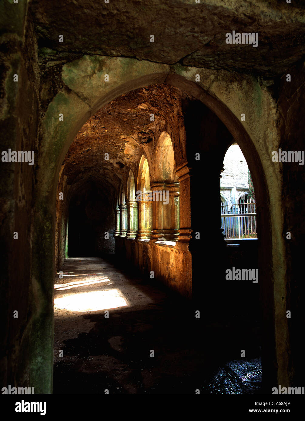cloisters in an ancient irish abbey Stock Photo - Alamy