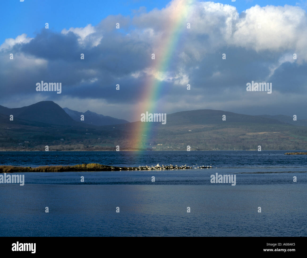 large colorful rainbow rising vertical out of the irish sea, beauty in ...