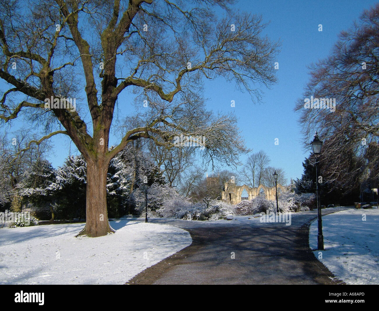 Abbey Ruins Snow Trees High Resolution Stock Photography and Images - Alamy