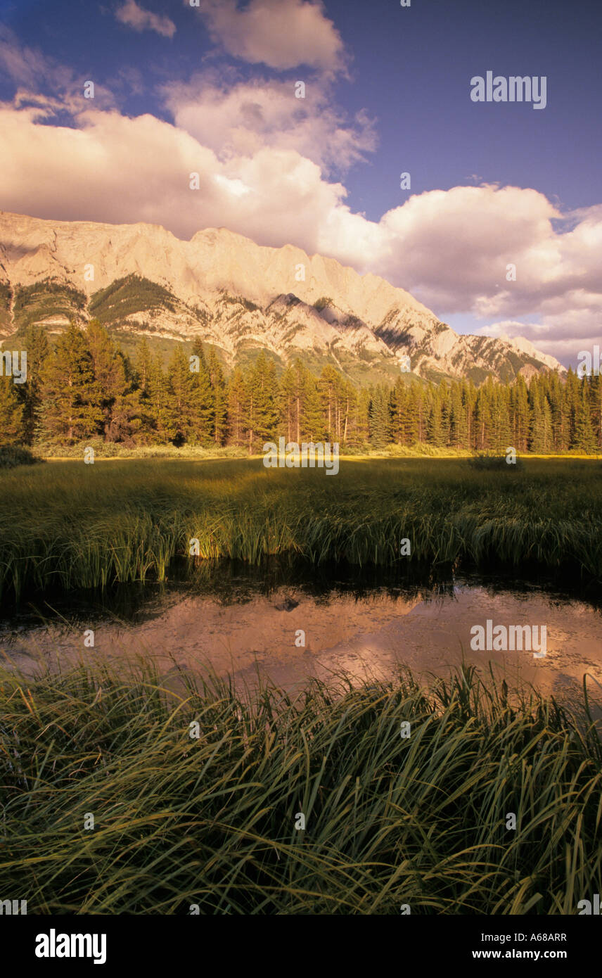 Rocky Mountains ridge Banff National Park Alberta Stock Photo - Alamy