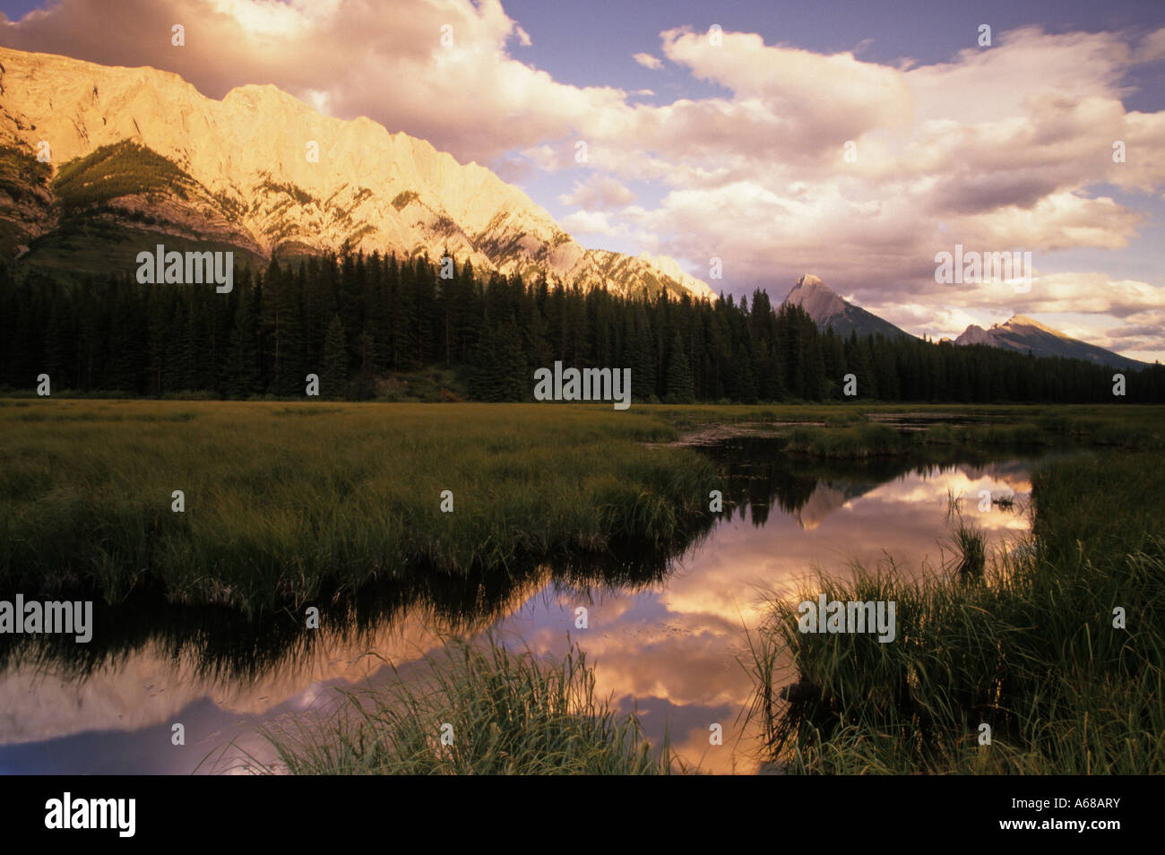 Rocky Mountains ridge Banff National Park Alberta Stock Photo - Alamy