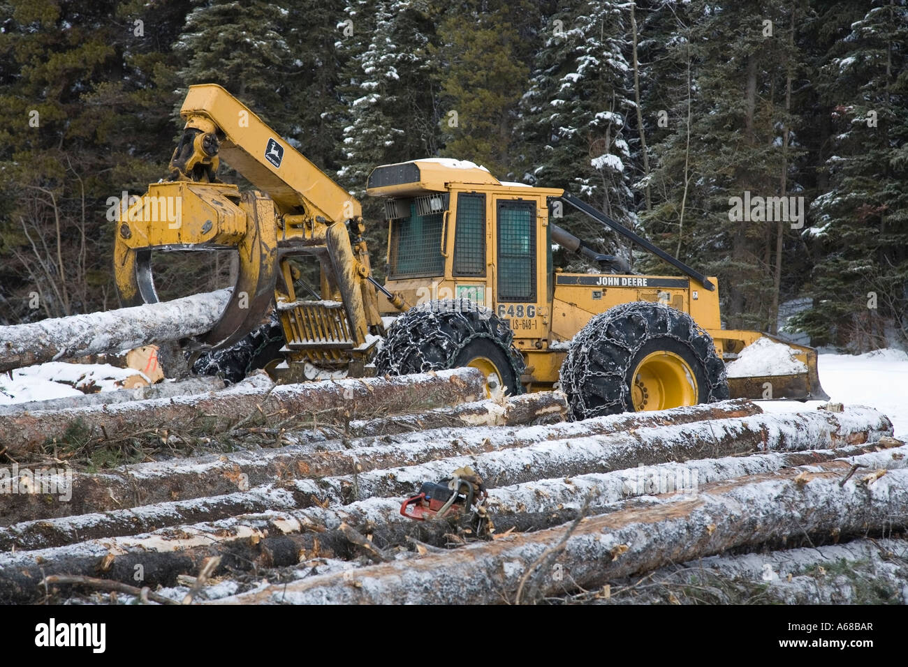 Logging of mountain pine beetle infested timber Hudson Bay mountain ...