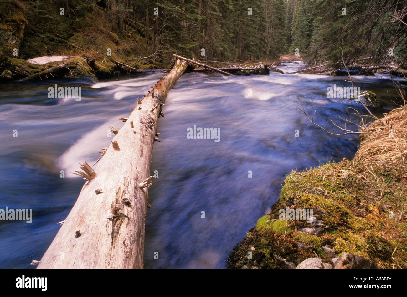 Driftwood Creek Babine Mountains Provincial Park Smithers British ...