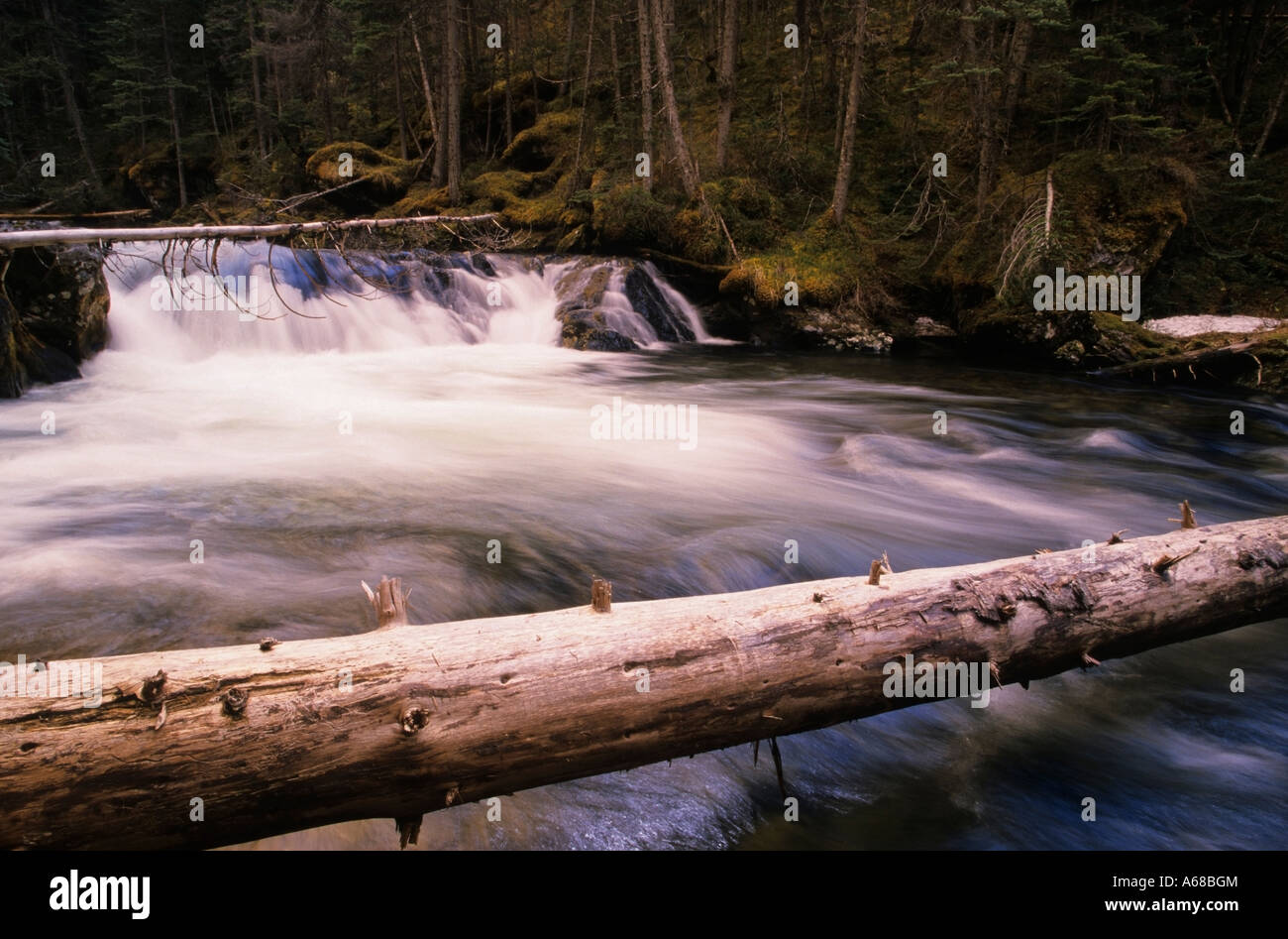 Driftwood Creek Babine Mountains Provincial Park Smithers British ...