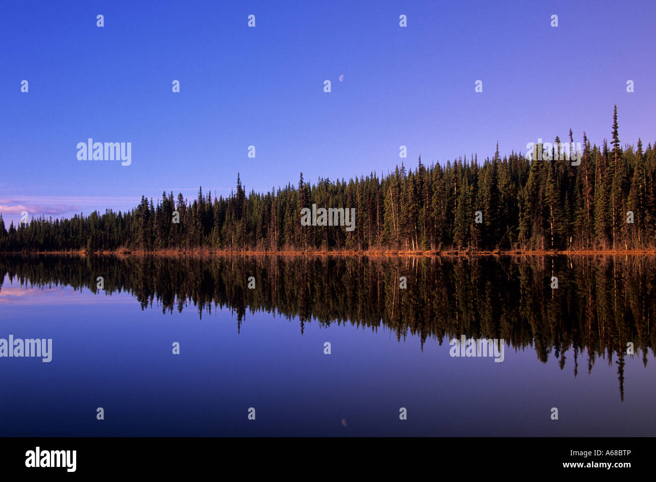 Bulkley valley scenic hi-res stock photography and images - Alamy