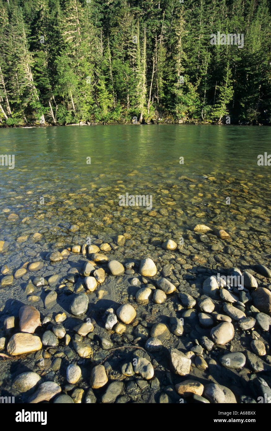 Dean river Central coast British Columbia Stock Photo - Alamy