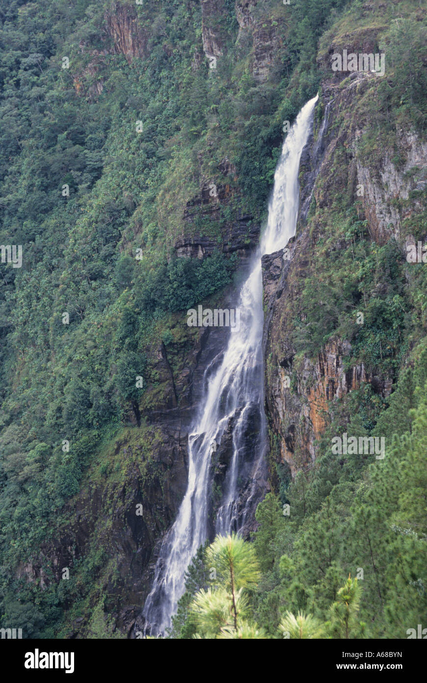 Waterfall Mountain Pine area Belize Central America Stock Photo - Alamy