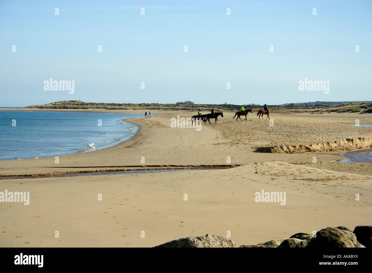 Shell Bay Beach, Studland, Isle of Purbeck, Dorset, UK Stock Photo - Alamy
