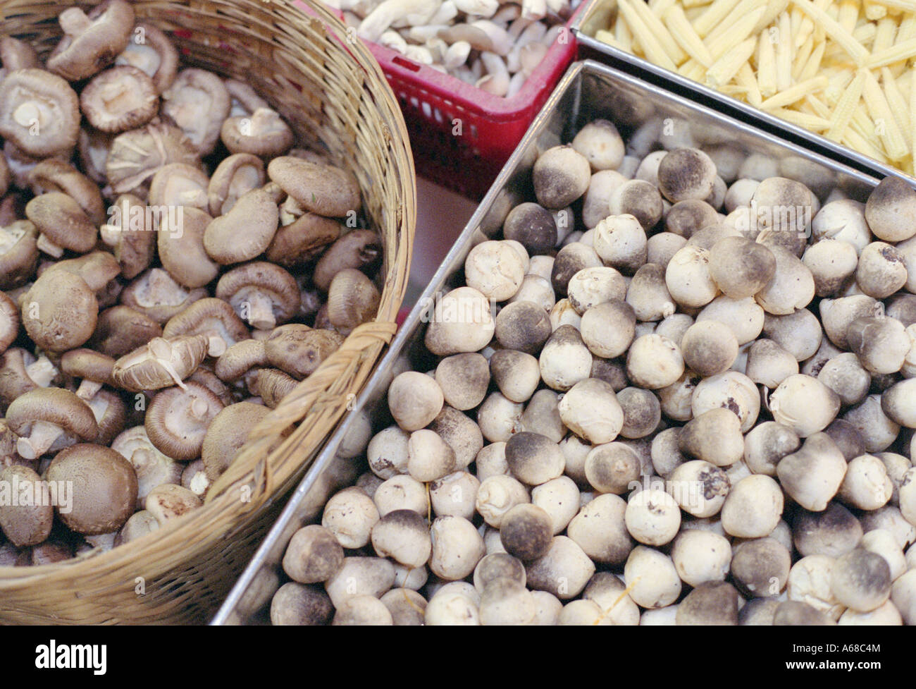 Mushroom Stall, red market, Macau Stock Photo - Alamy