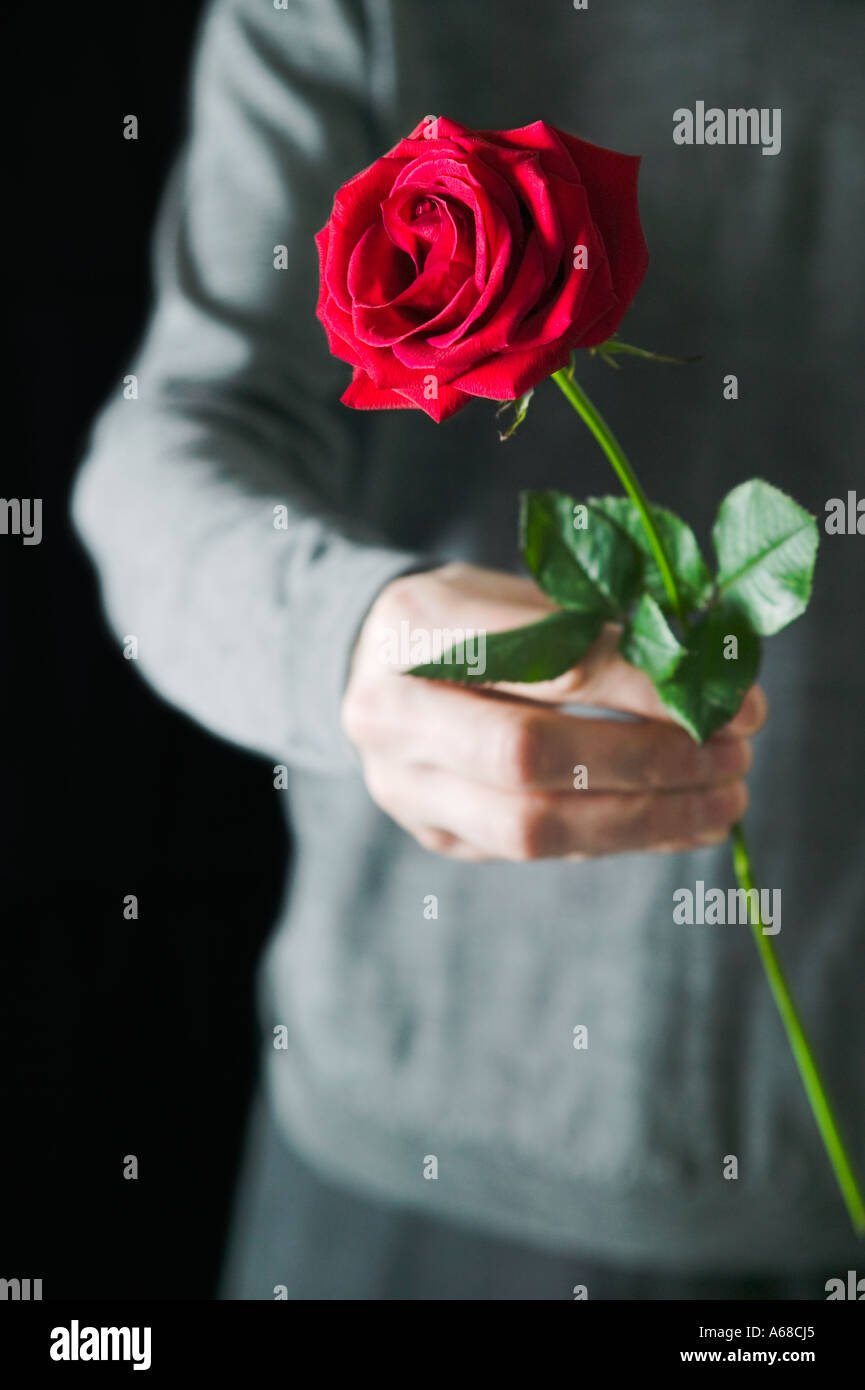 Man wearing grey jumper holding red rose vertical Stock Photo - Alamy