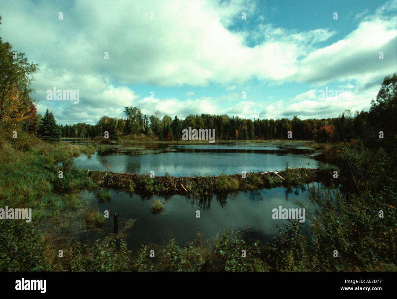 Ottawa national forest hi-res stock photography and images - Alamy