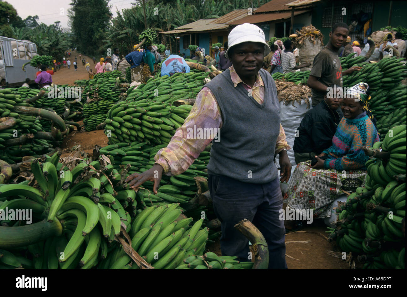 A wholesaler buys cooking bananas in bulk, Mwika village, Kilimanjaro ...