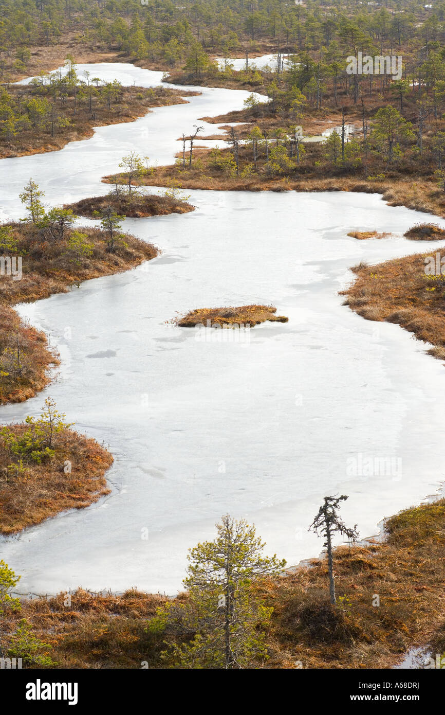 Männikjärve bog in early spring Stock Photo - Alamy