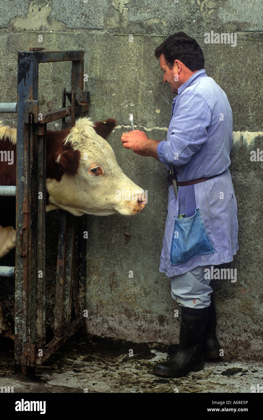 Irish farm vet hi-res stock photography and images - Alamy