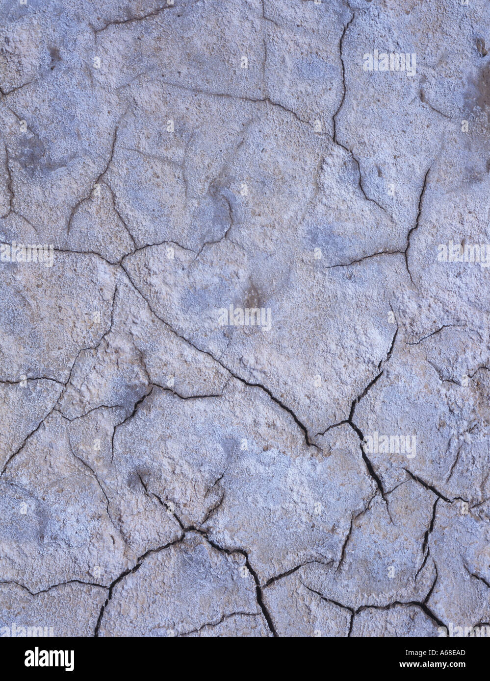Dry ground in Sahara tunisia Stock Photo - Alamy